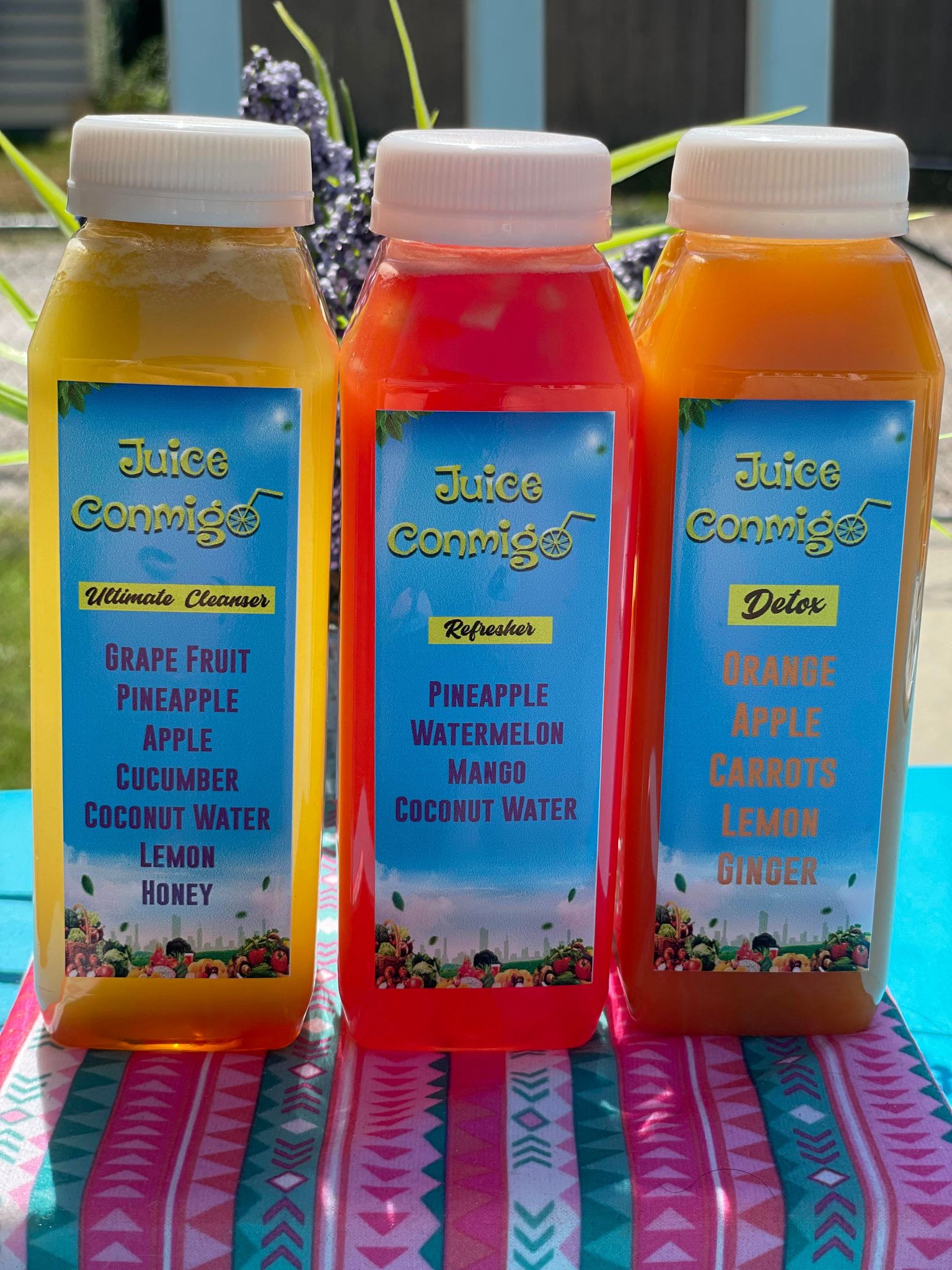 7 Multi-Day Detox/Cleanse